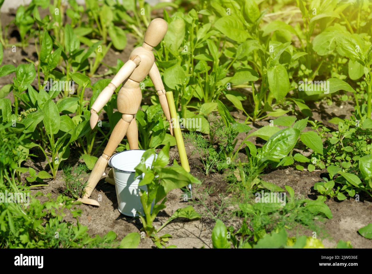 Gardener wooden mannequin works in the garden. Home gardening and plant ...