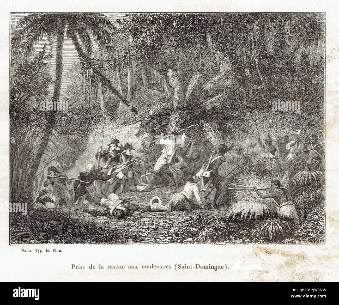 prise de la ravine aux Couleuvres à Saint Domingue Stock Photo - Alamy
