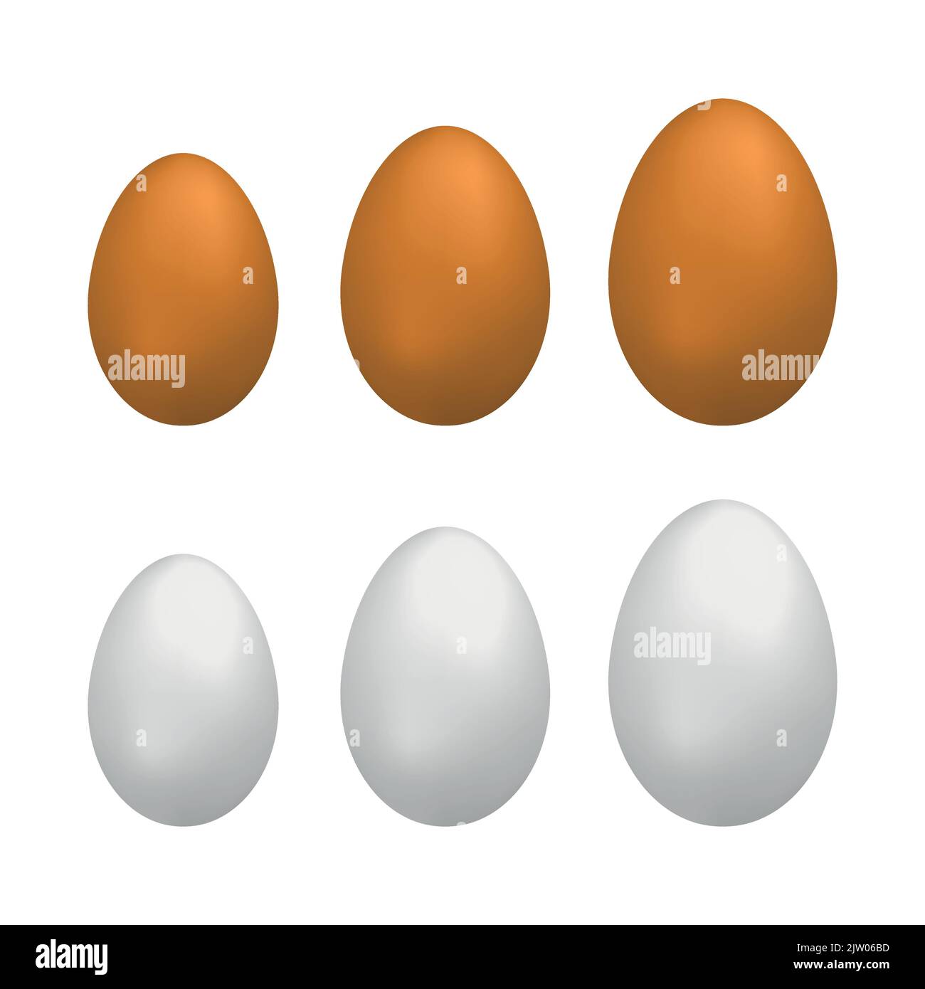 Set of natural realistic eggs different sizes isolated on white ...