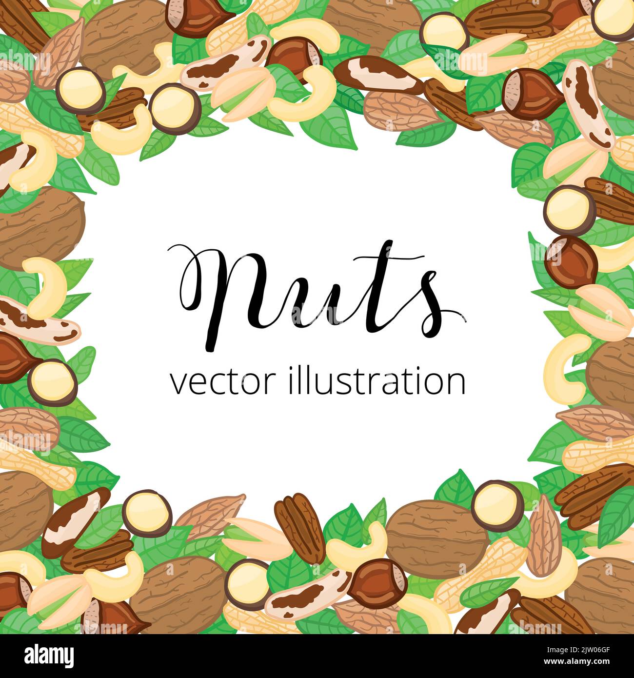Square background with doodle colored nuts, leaves and lettering ...