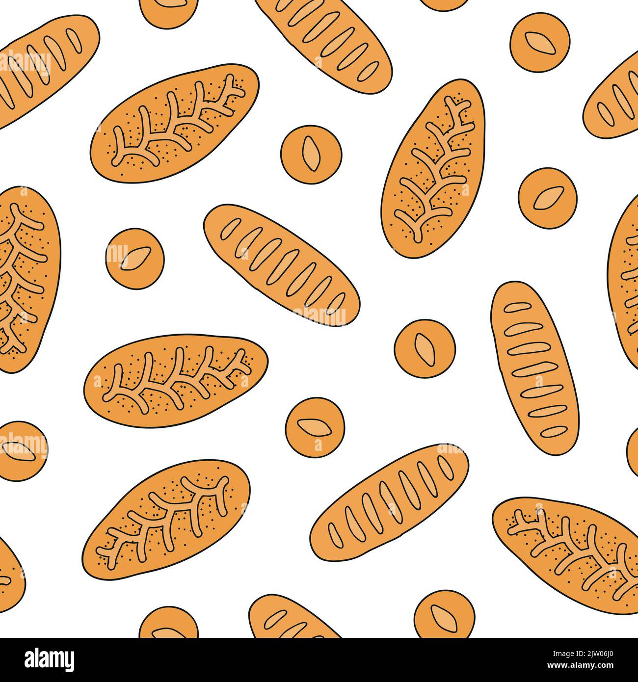 Different buns bread Stock Vector Images - Alamy