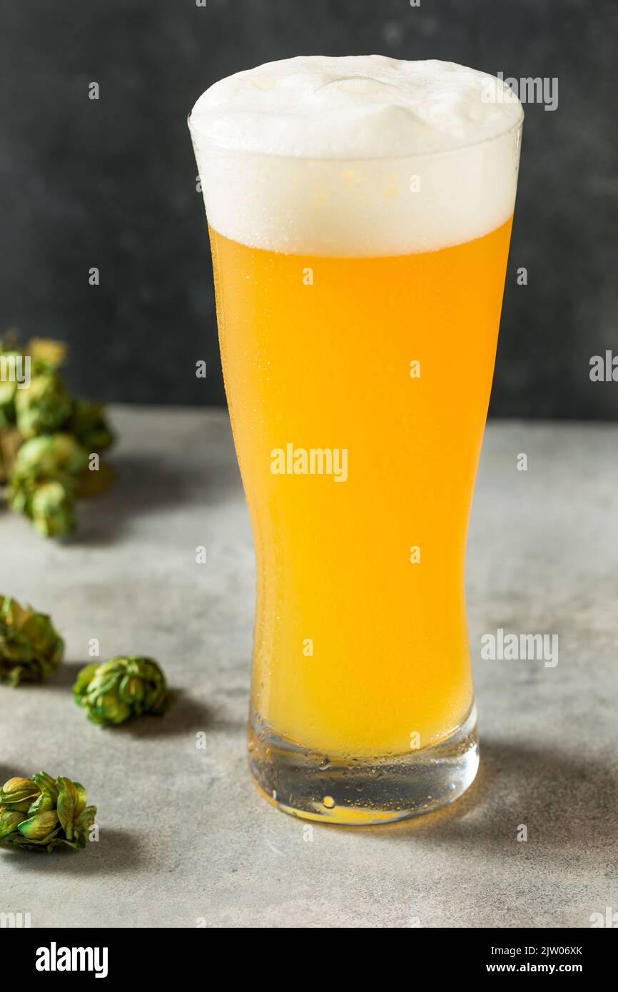 Cold Refreshing IPA Craft Beer in a Tall Glass Stock Photo - Alamy