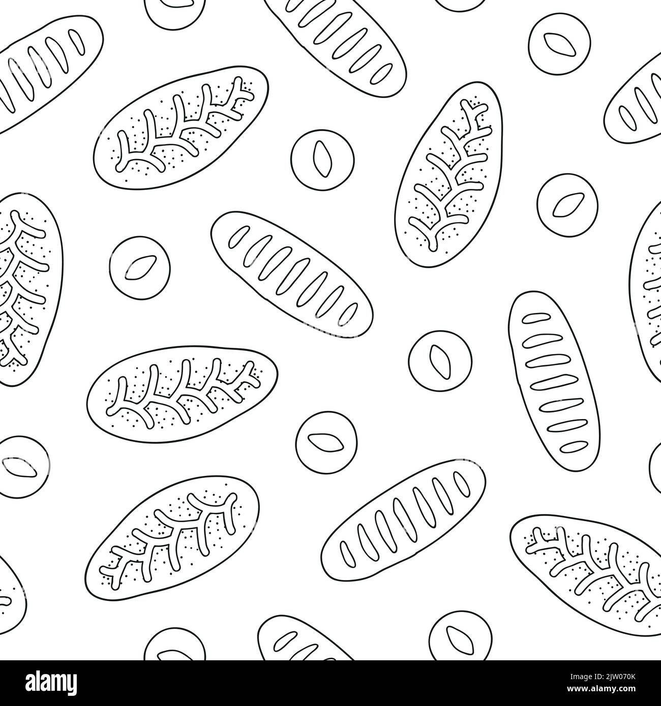 Different buns bread Stock Vector Images - Alamy