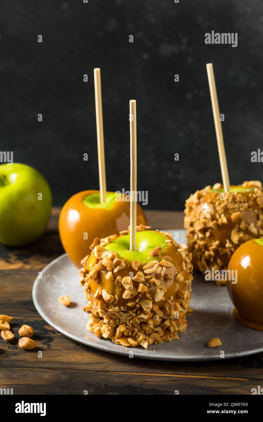 Homemade Halloween Candy Taffy Apples with Caramel and Peanuts Stock ...