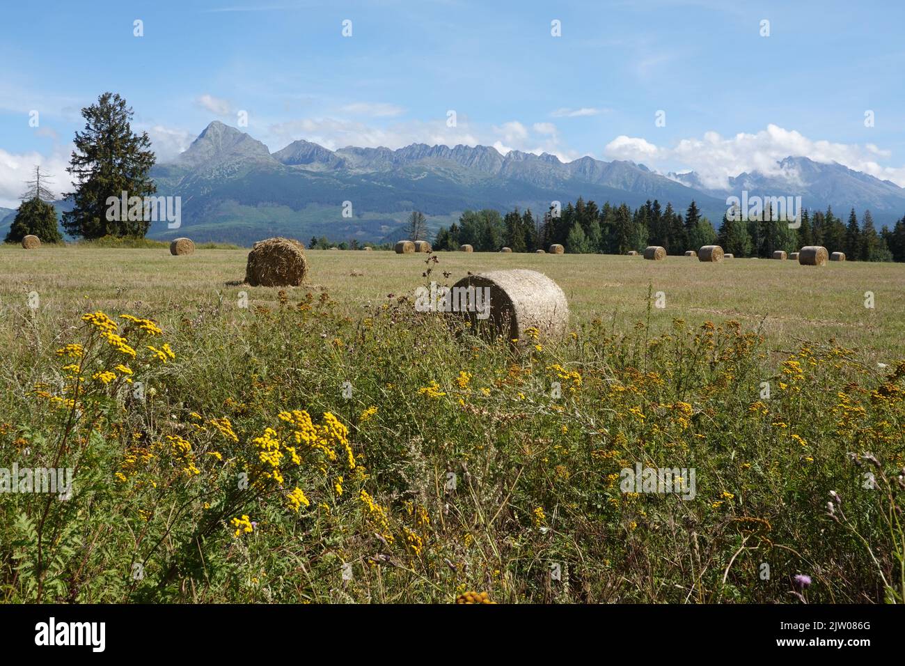 Krivan mountain, an iconic 2494 metres mountain in the High Tatras of ...