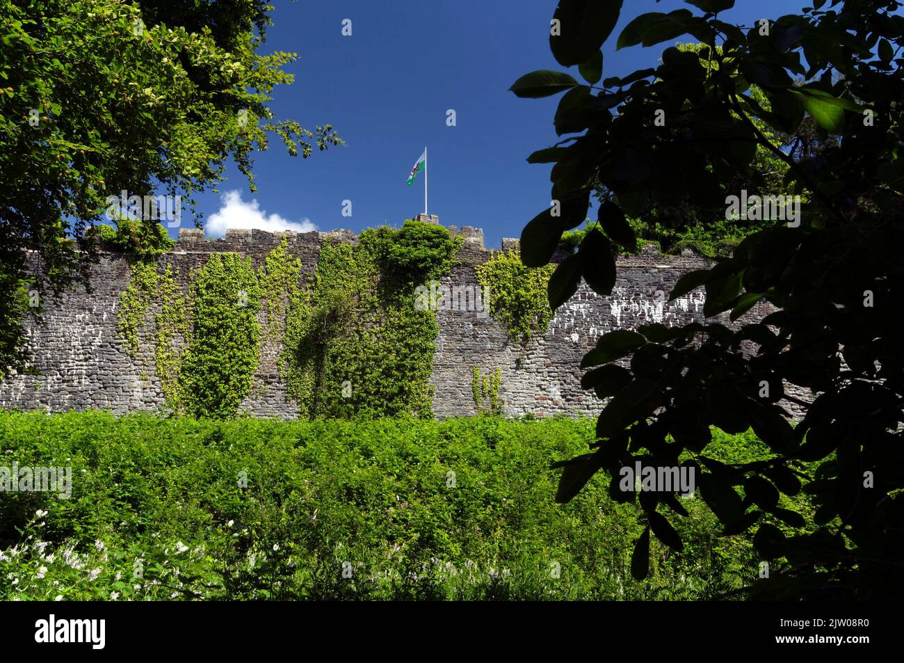 Cardiff Castle wall from outside the castle. From Bute Park / Castle ...