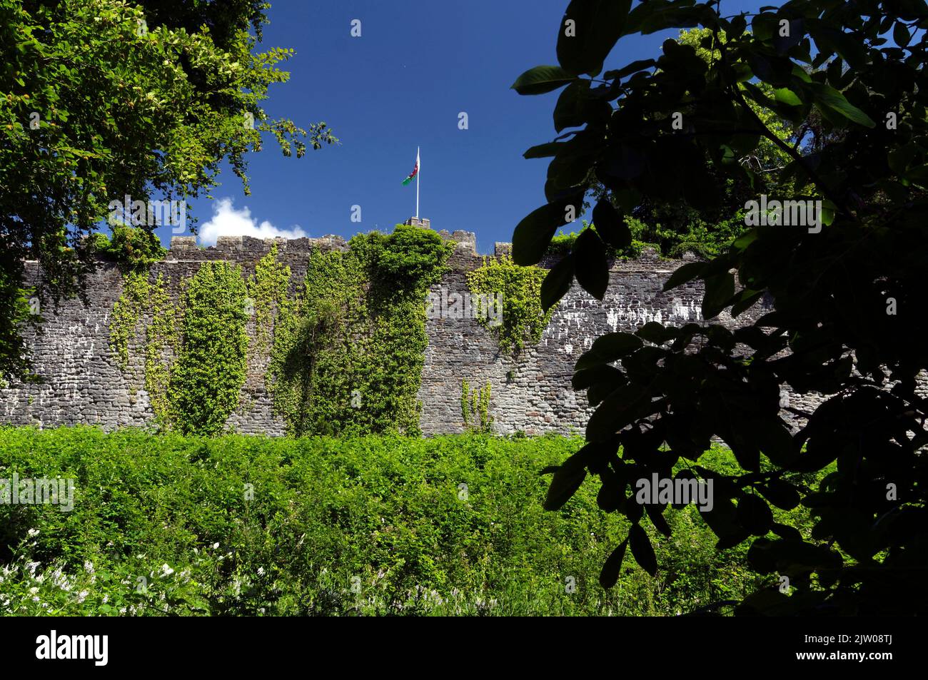 Cardiff Castle wall from outside the castle. From Bute Park / Castle ...