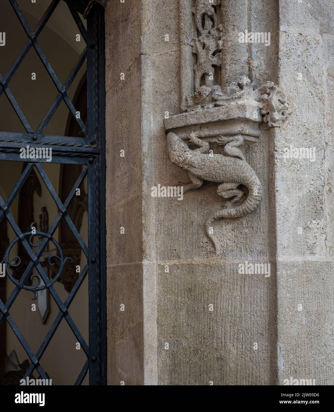 Lizard relief detail at the Old Town Hall - Bratislava, Slovakia Stock ...