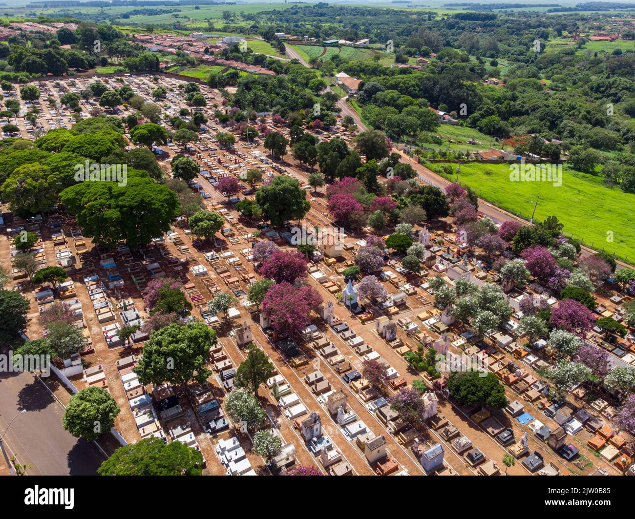 Scenic aerial flight directly above densely packed cemetery graveyard ...