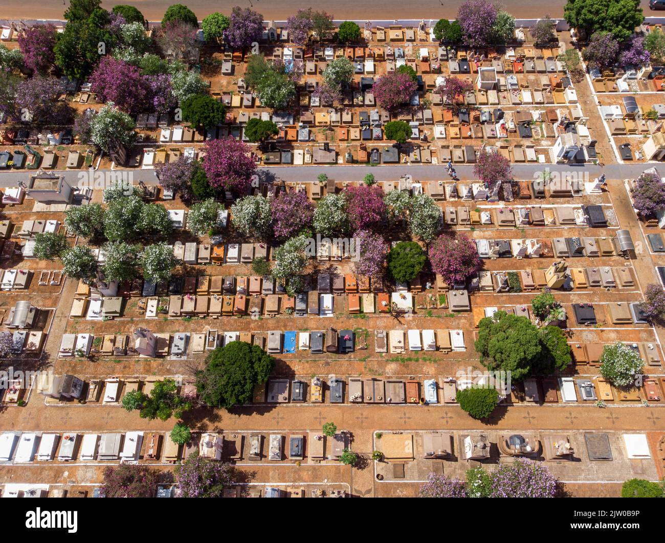 Scenic aerial flight directly above densely packed cemetery graveyard ...