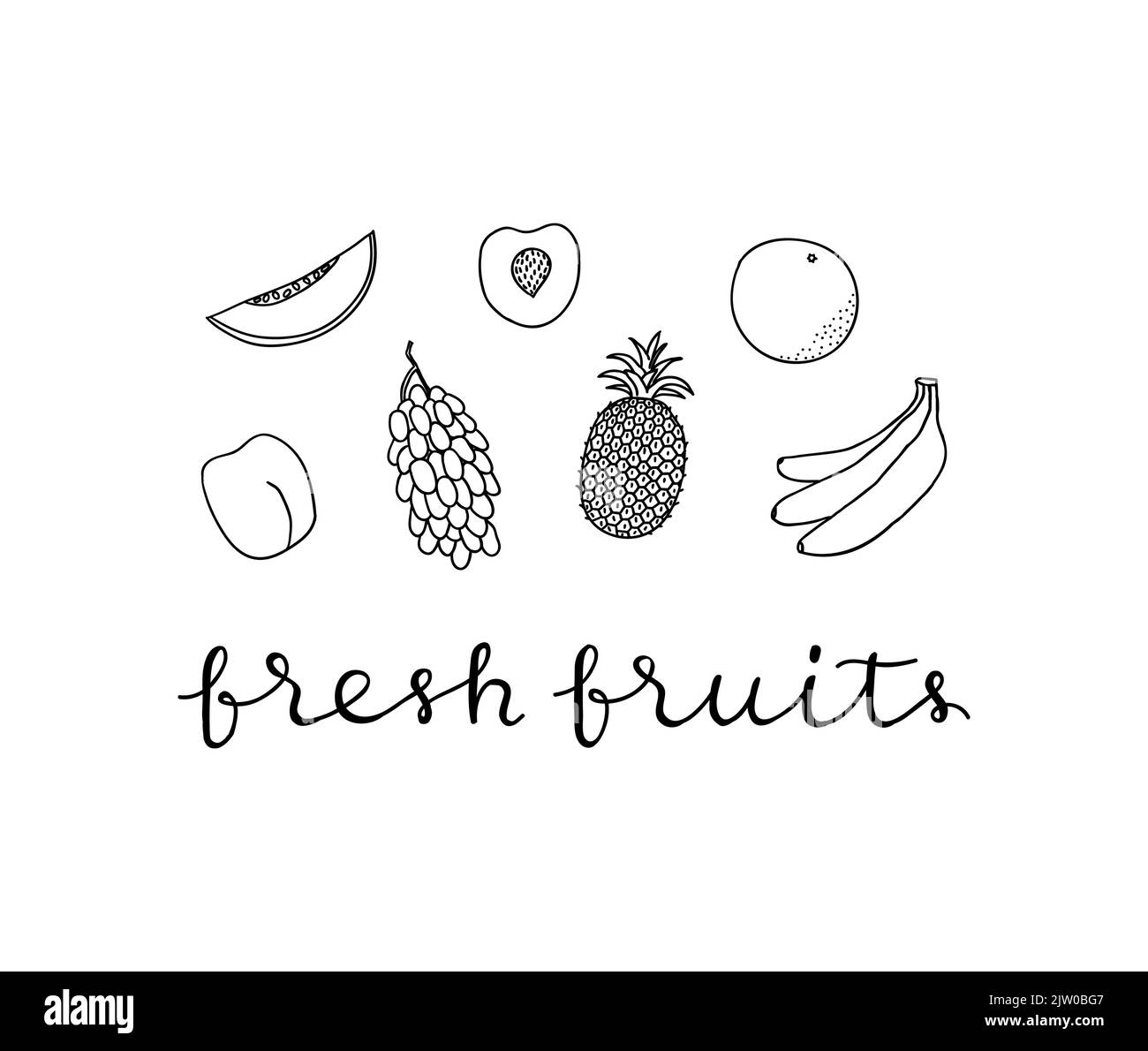 Composition with hand drawn outline fruits and lettering on white ...