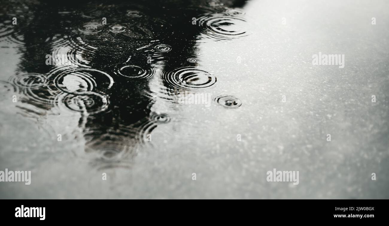 A black-and-white image of a deep puddle in the city, into which ...