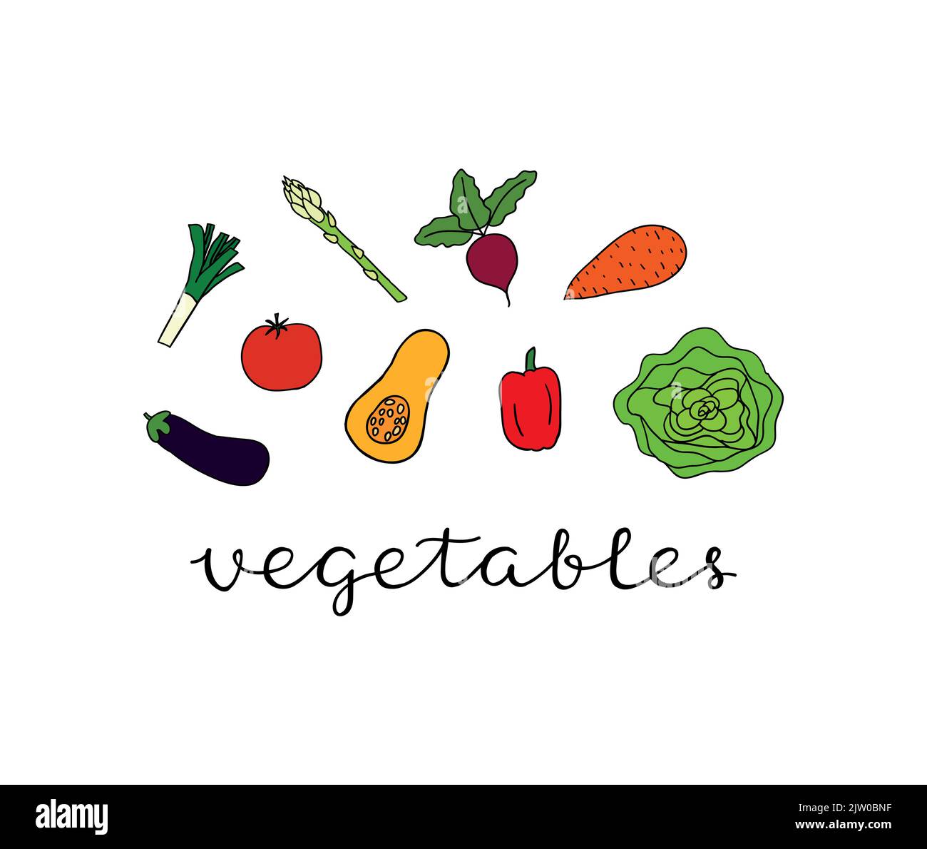 Composition with hand drawn colored vegetables and lettering on white ...