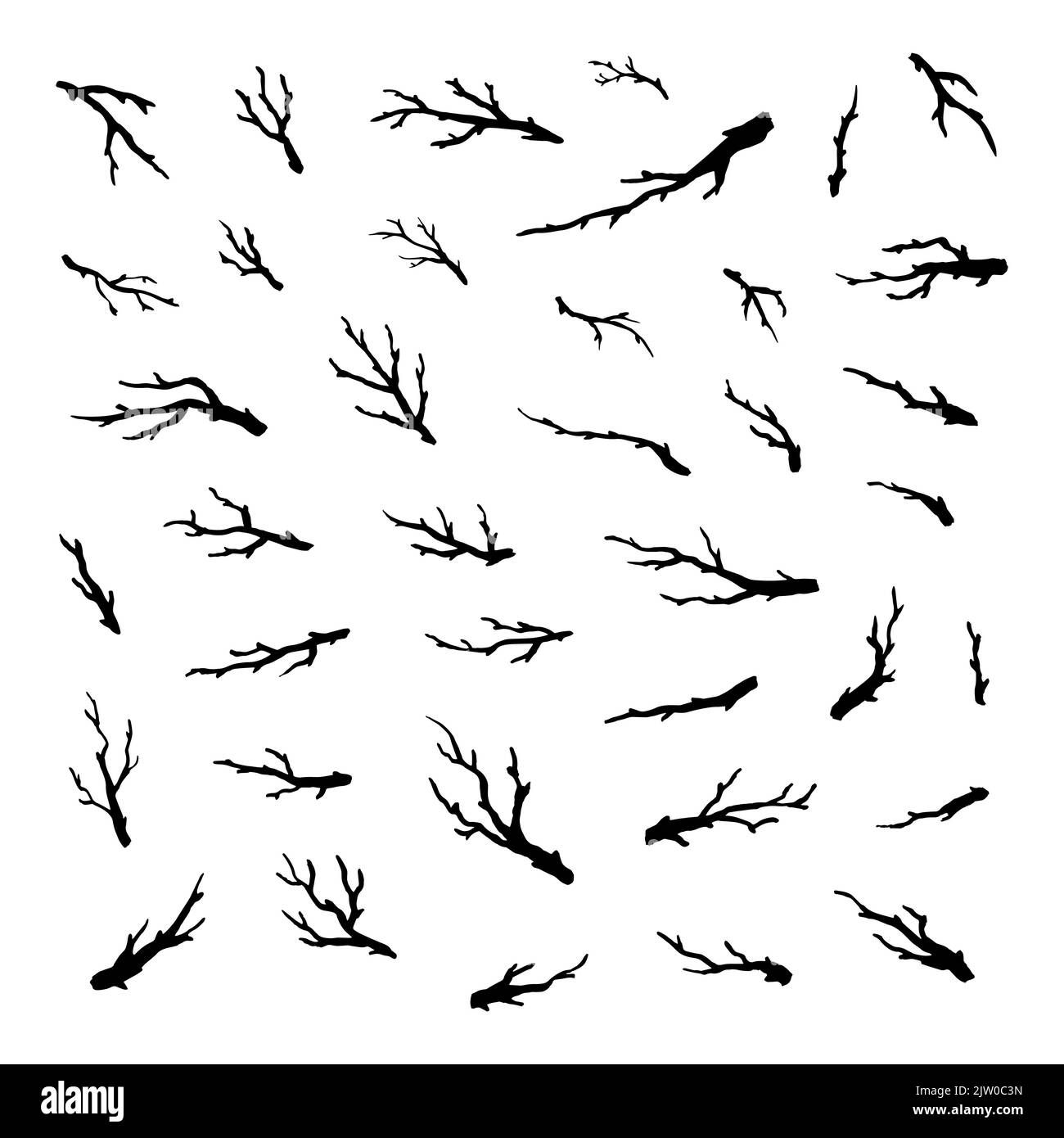 Set of hand painted black ink tree branches and twigs isolated on white ...