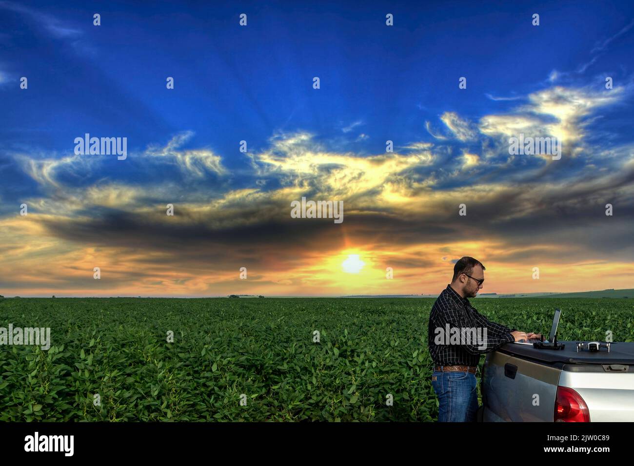 Farmer standing in soybean field looking at notebook and drone Stock ...