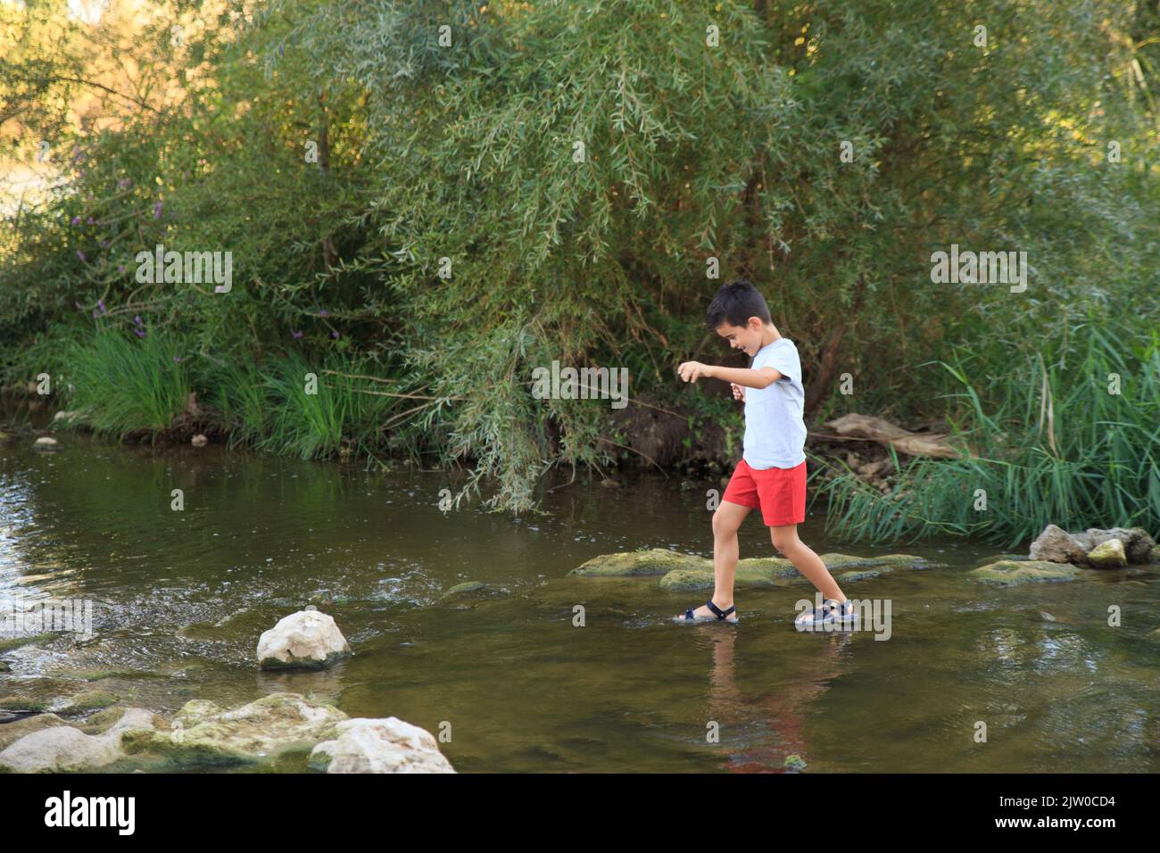 child having fun getting his feet wet in the river in summertime Stock ...