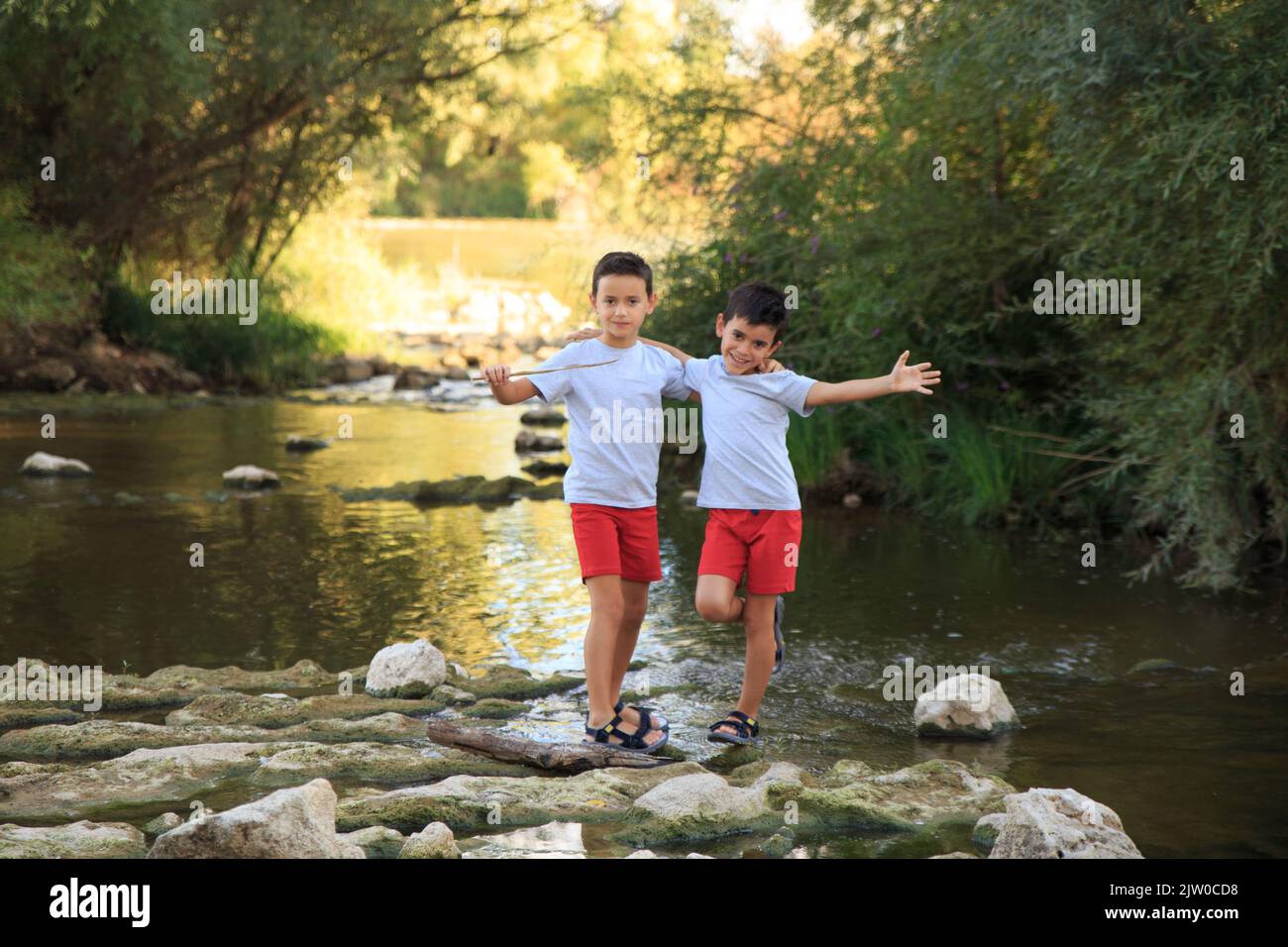 two brothers have fun playing in the river. Summer in nature with ...