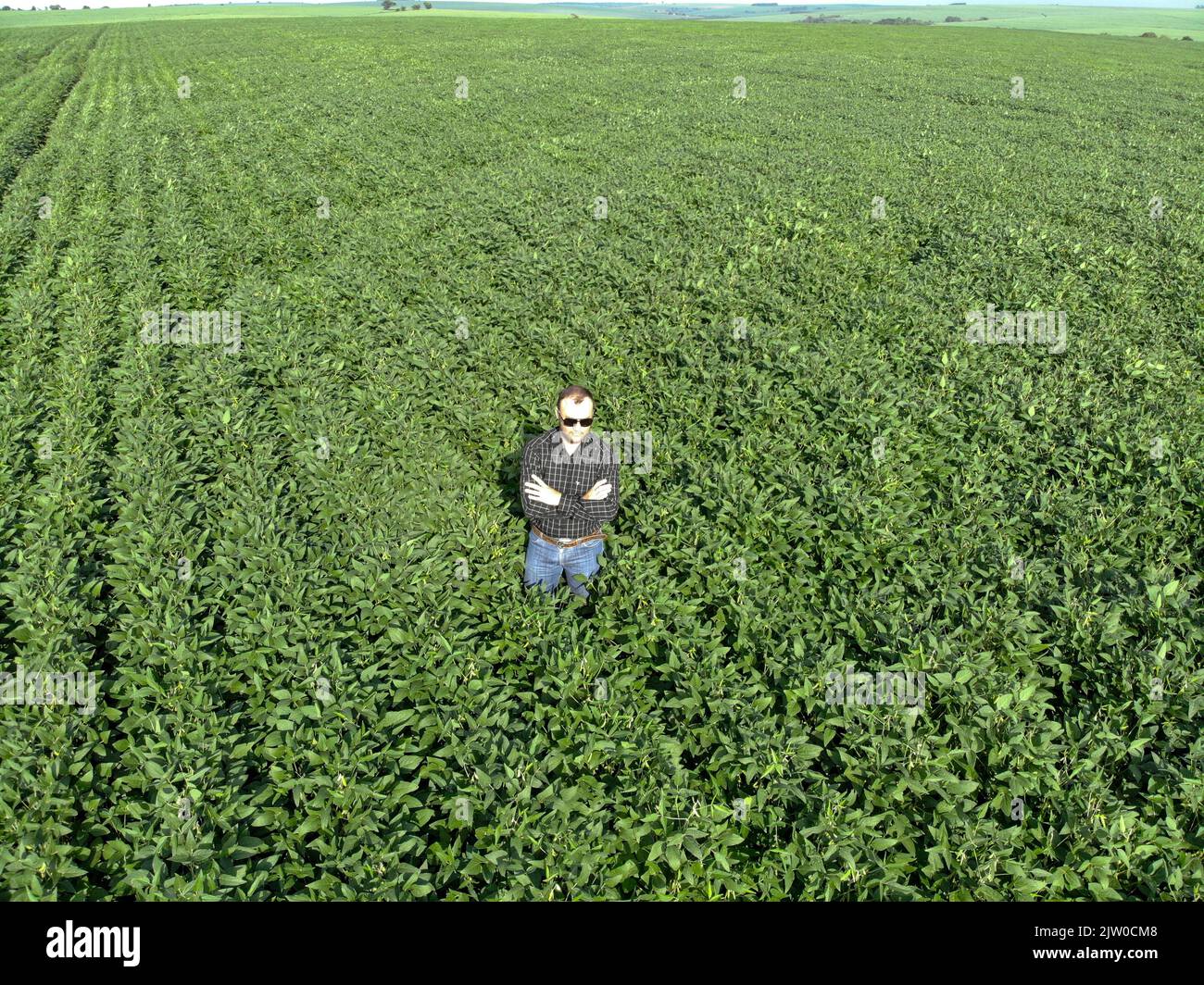 Engineer inspecting soil hi-res stock photography and images - Alamy
