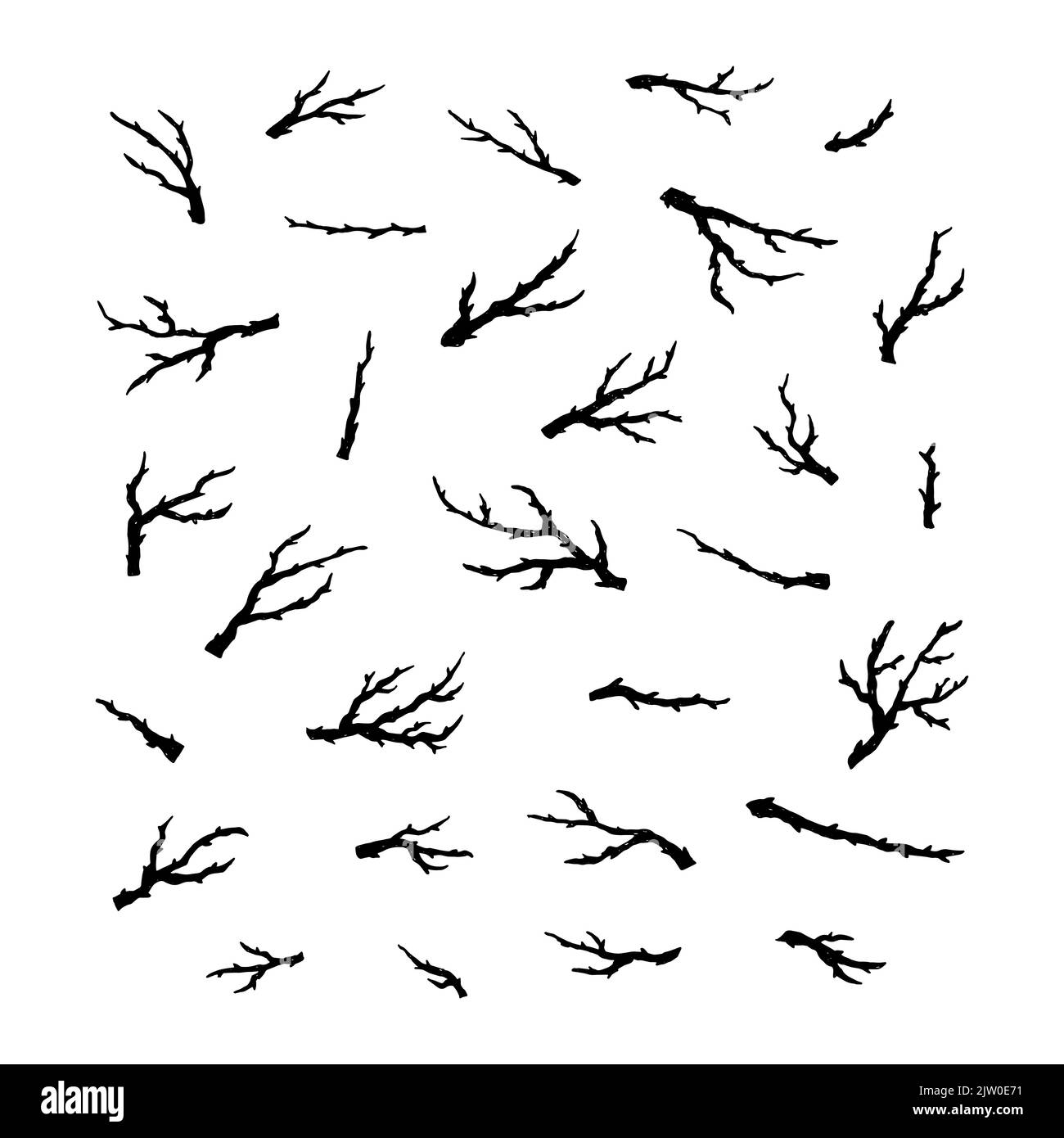 Set of hand painted black ink tree branches and twigs isolated on white ...