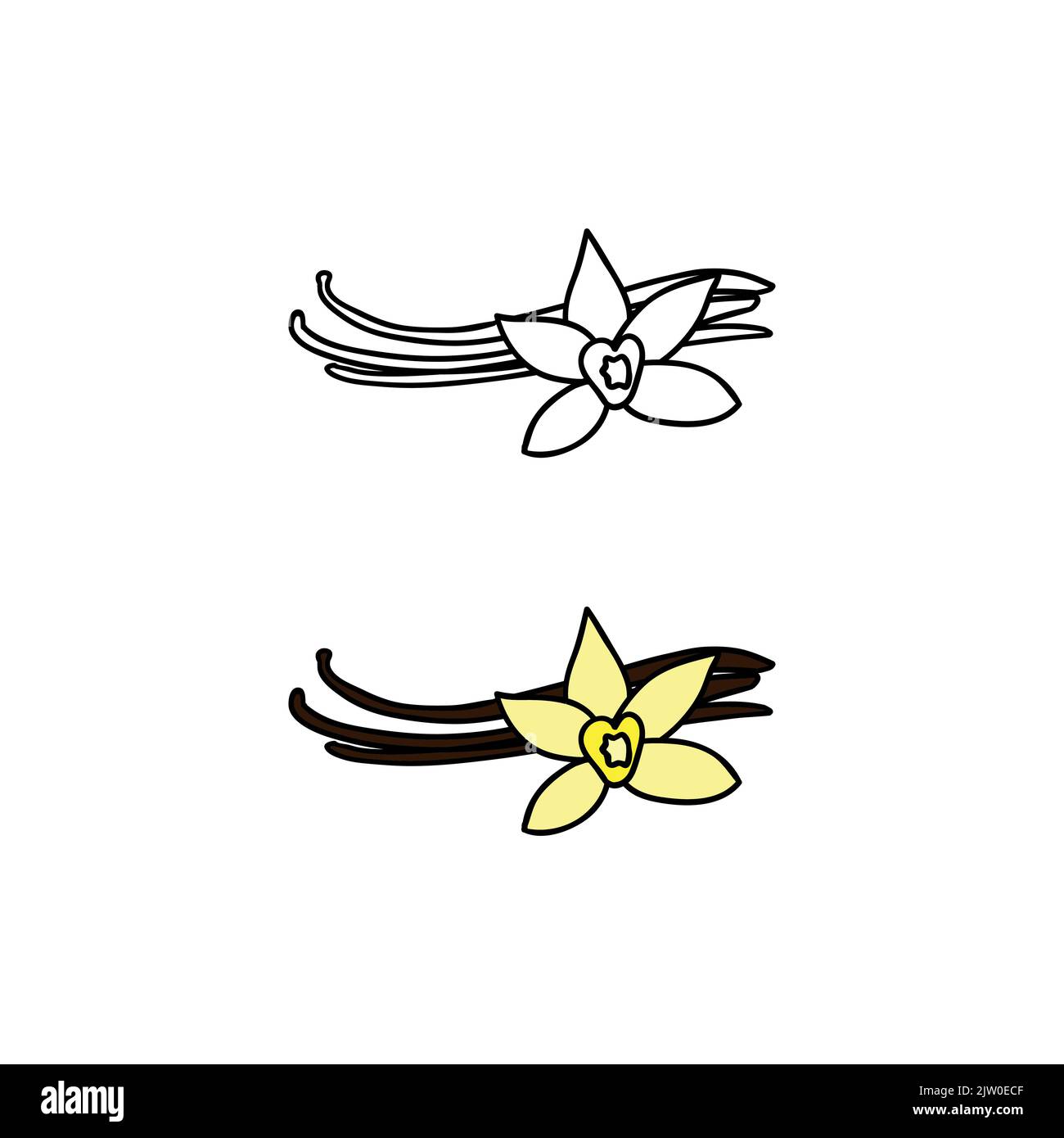 Hand drawn colored and outline vanilla pods and flower isolated on ...