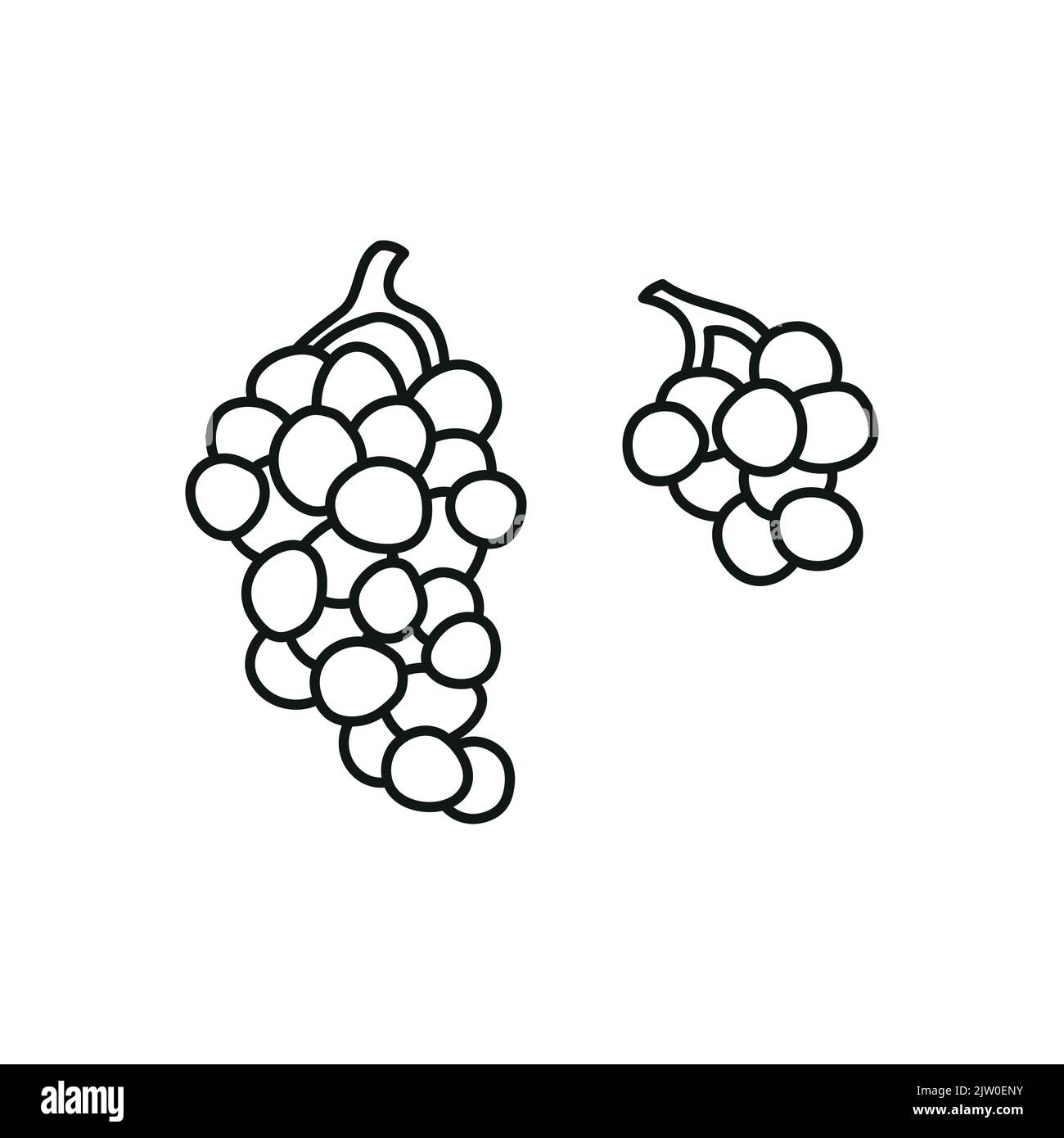 Doodle outline grape bunches isolated on white background Stock Vector ...