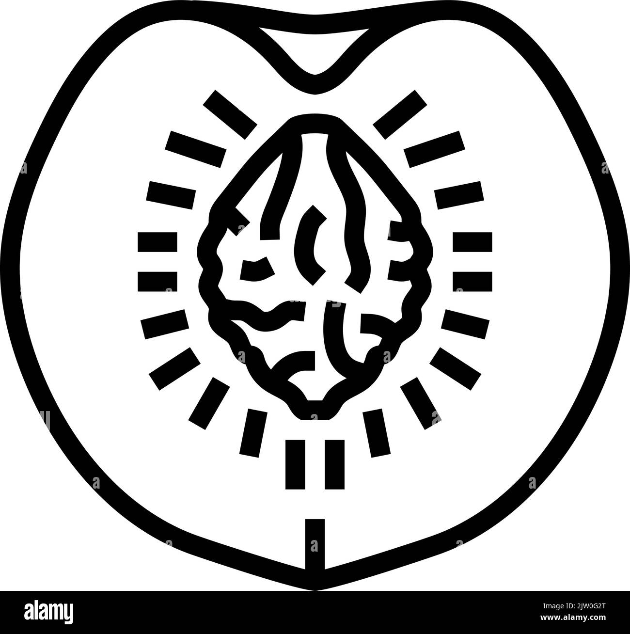 Peach Pit Clip Art Black And White