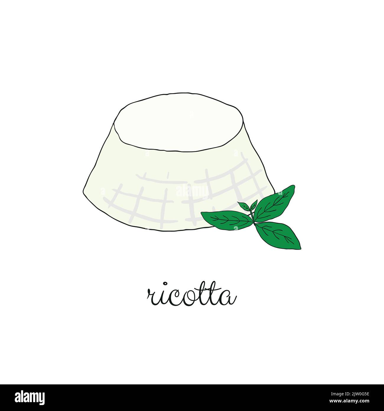 Hand drawn colored ricotta cheese with basil isolated on white ...