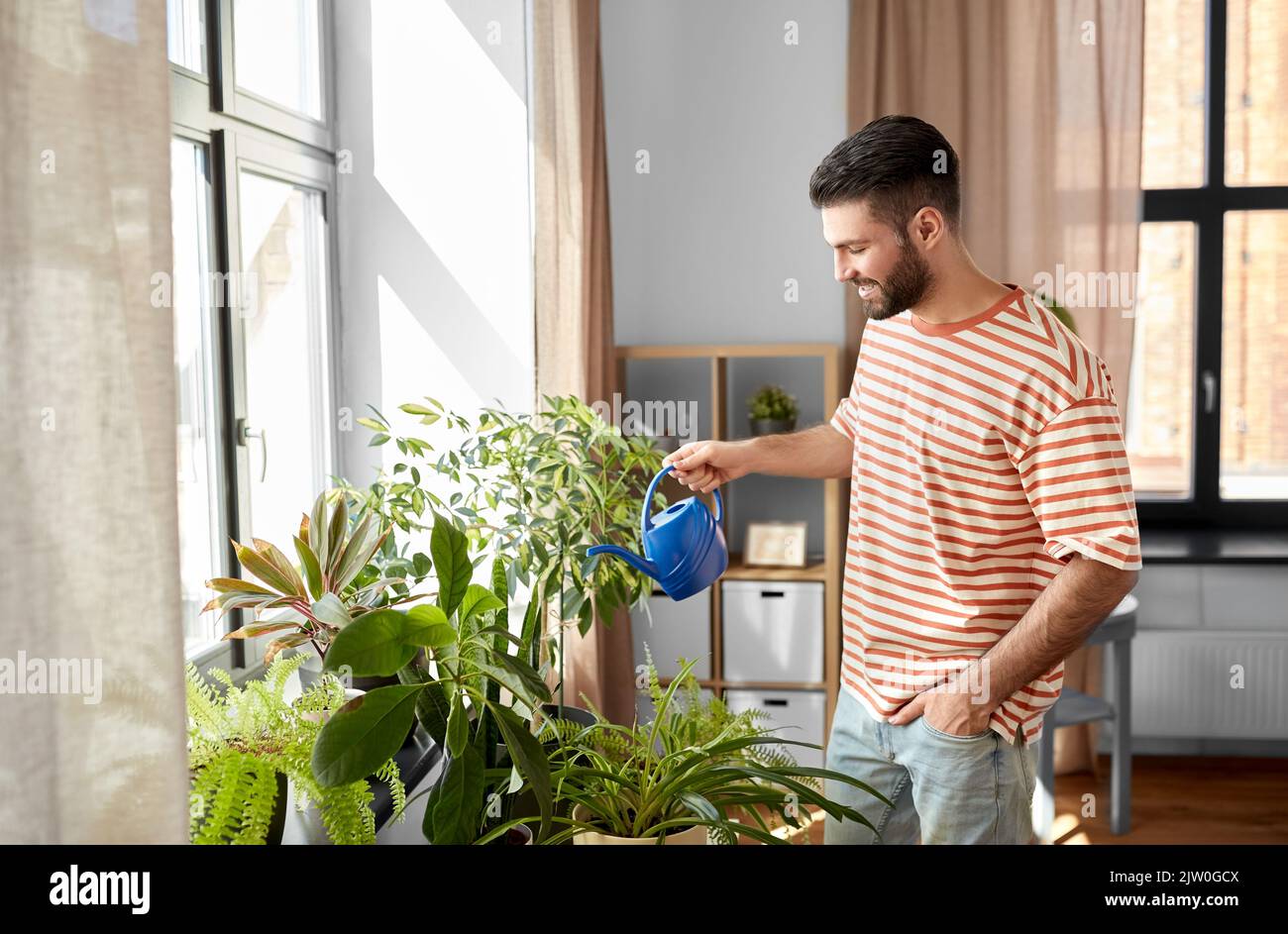happy smiling man watering flowers at home Stock Photo - Alamy