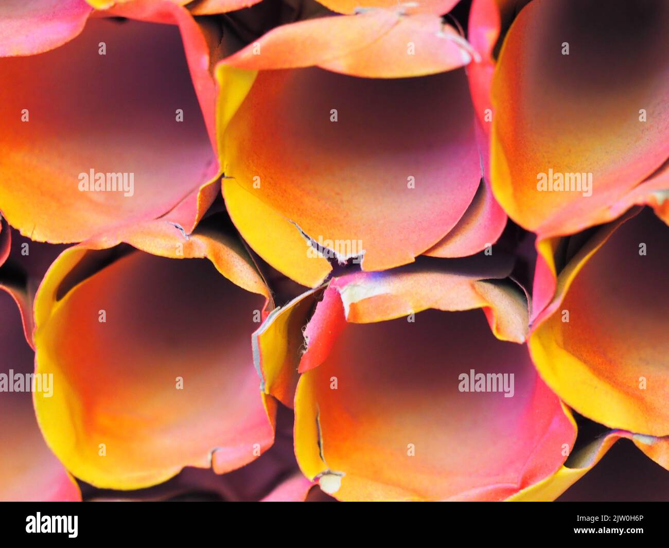 Macro handmade colored paper hi-res stock photography and images - Alamy