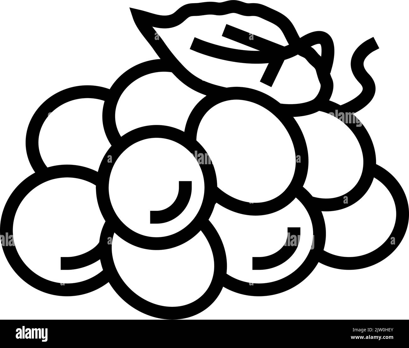 Green grape wine line Cut Out Stock Images & Pictures - Alamy