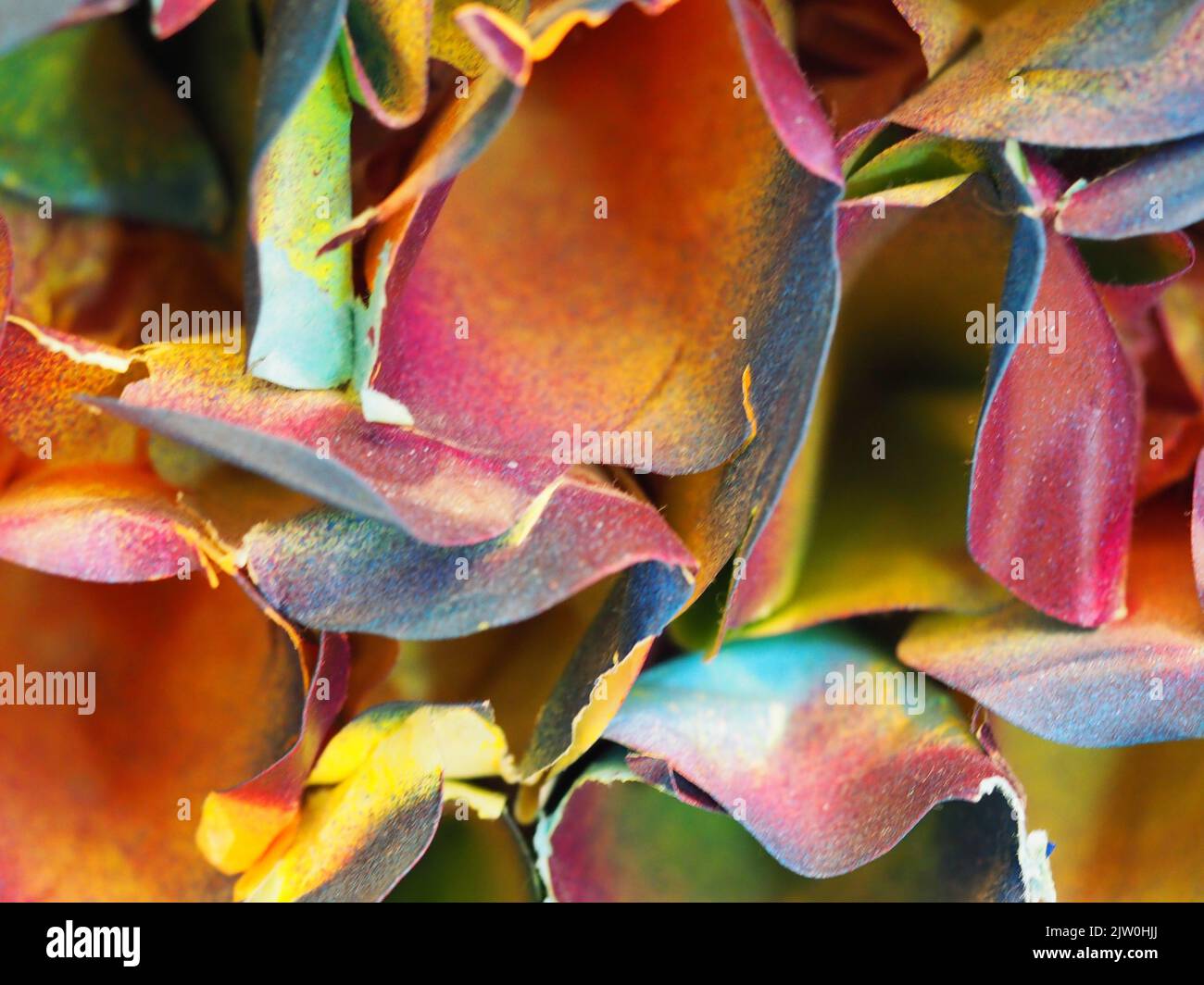 Paperwrap hi-res stock photography and images - Alamy