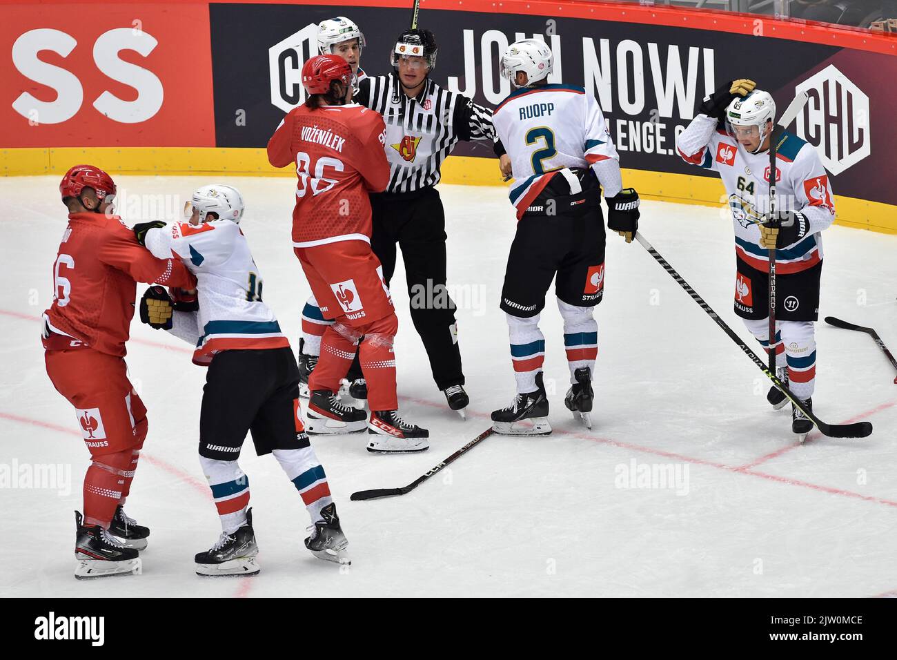 Matt foley belfast hi-res stock photography and images - Alamy