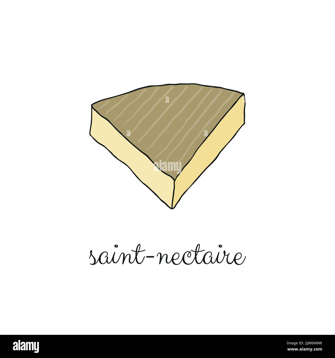 Hand drawn colored saint-nectaire cheese isolated on white background ...