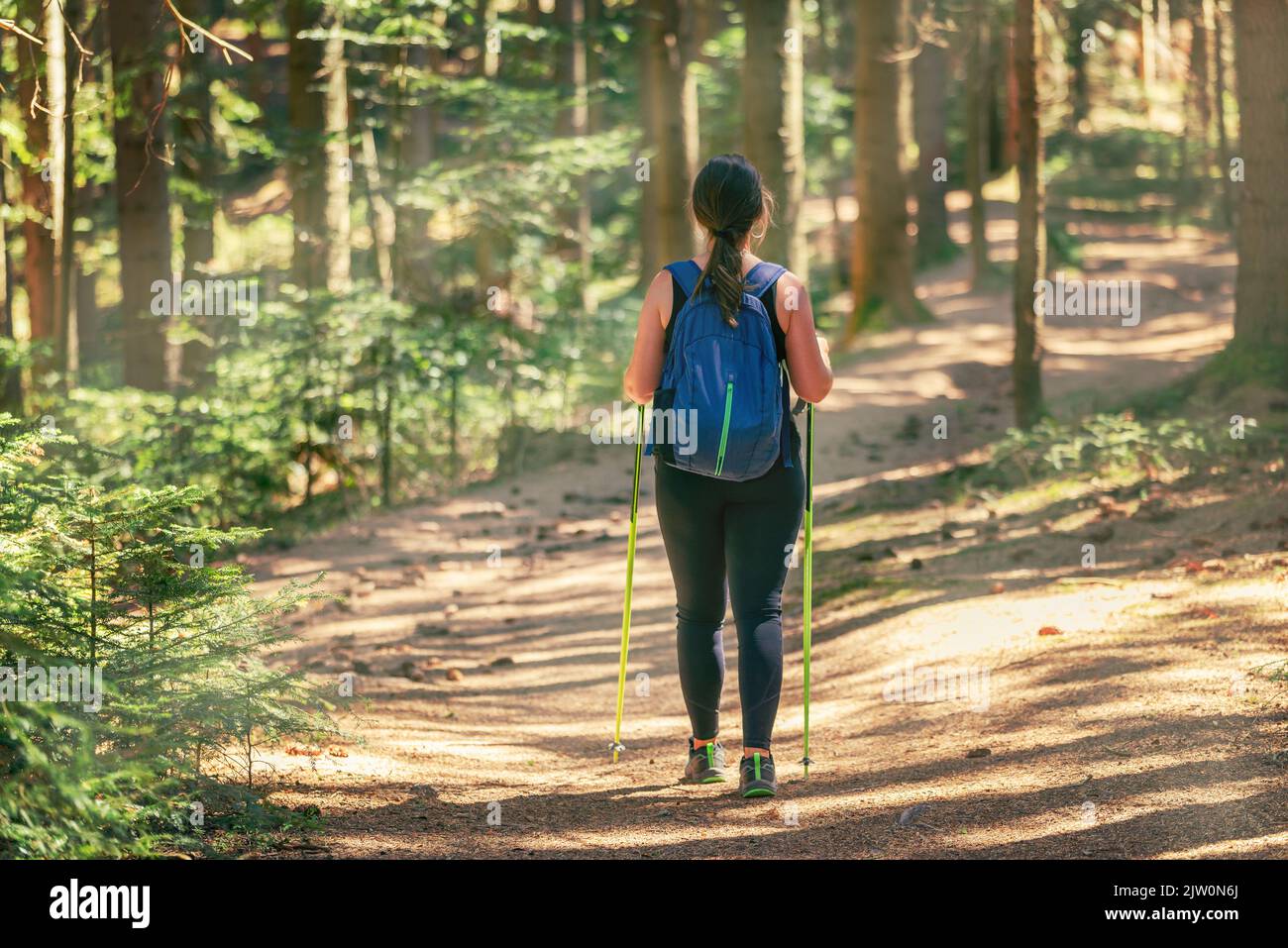 Woman walking along a forest path, while the sun's rays break through the trees. Carries a ...