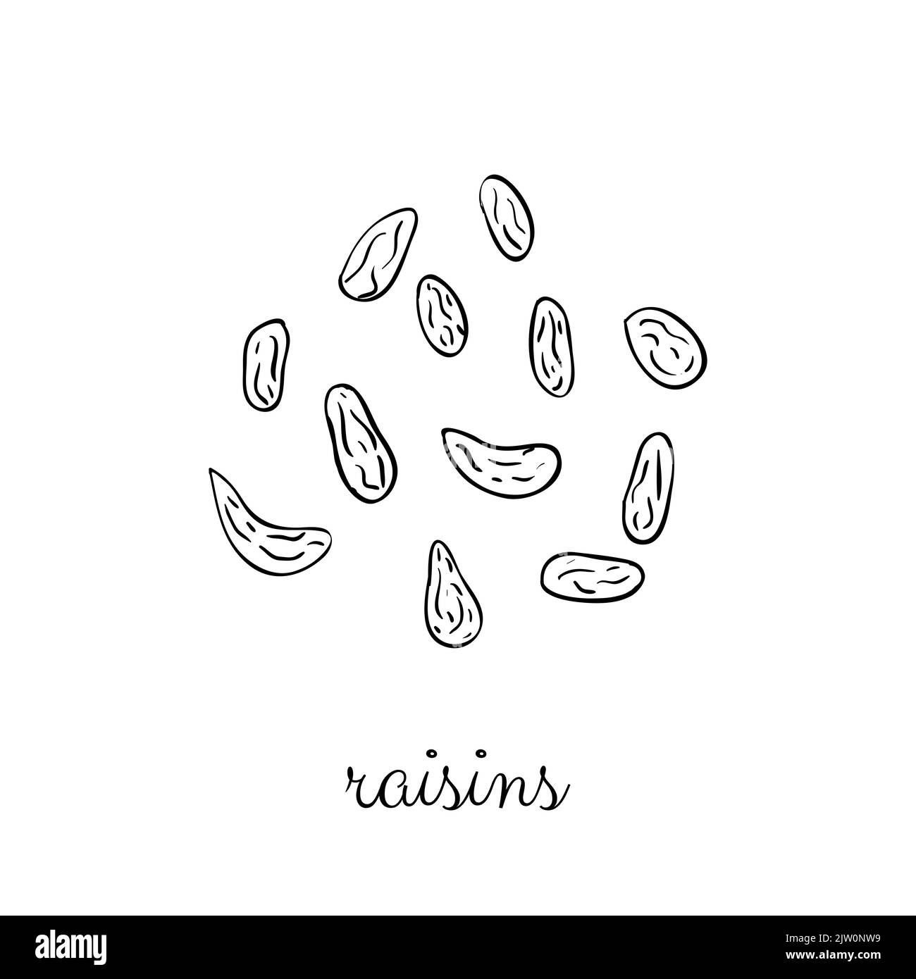 Group of hand drawn outline raisins isolated on white background Stock Vector Image & Art - Alamy