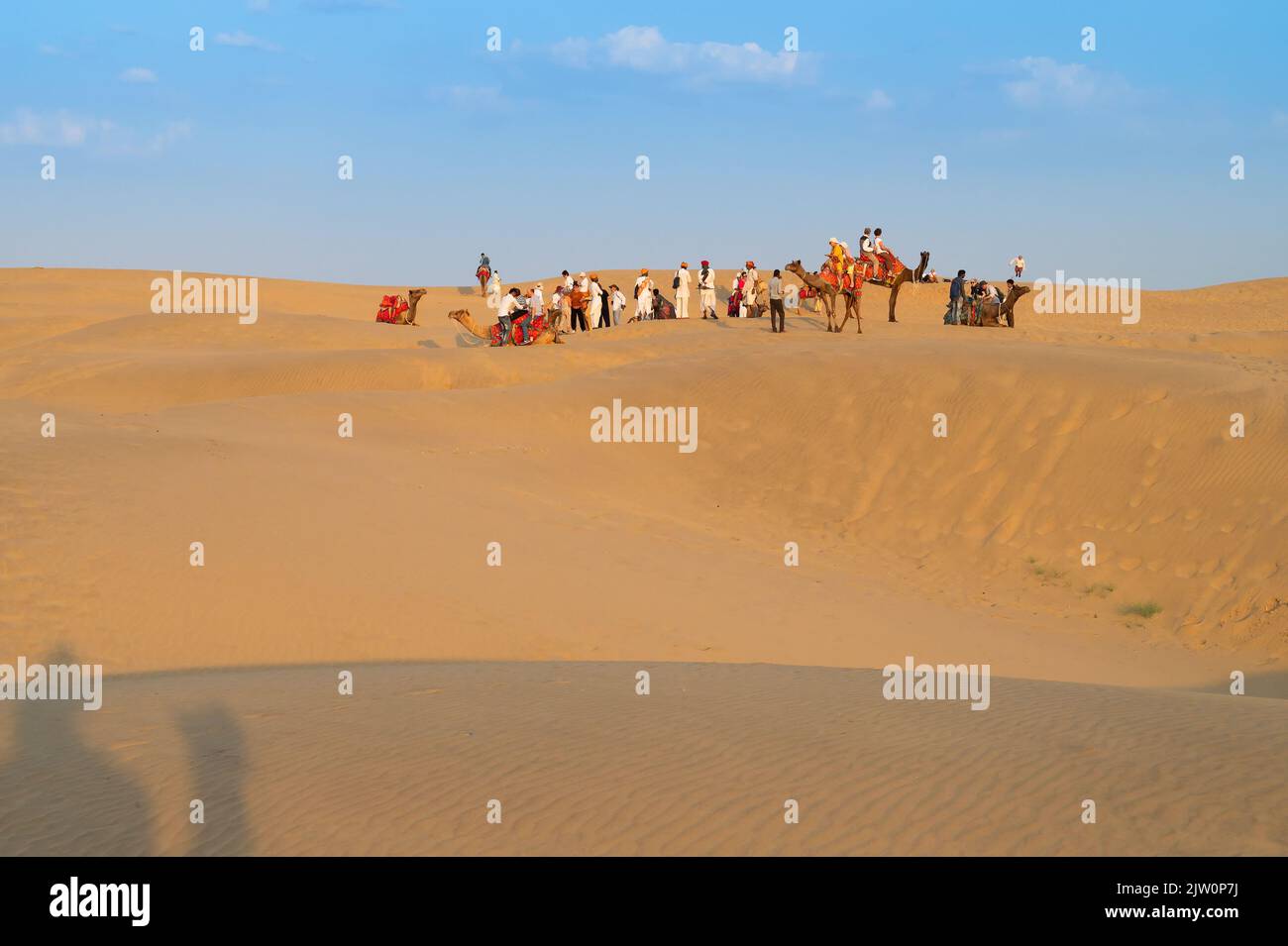 Tourists with camels, Camelus dromedarius, at sand dunes of Thar desert ...