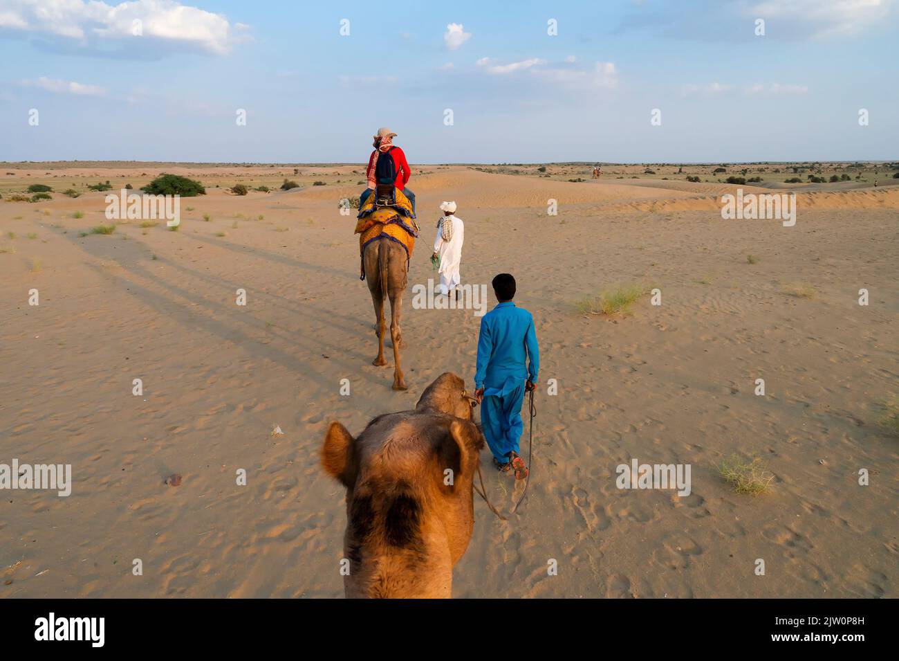 Female tourist riding camel, Camelus dromedarius, at sand dunes of Thar ...
