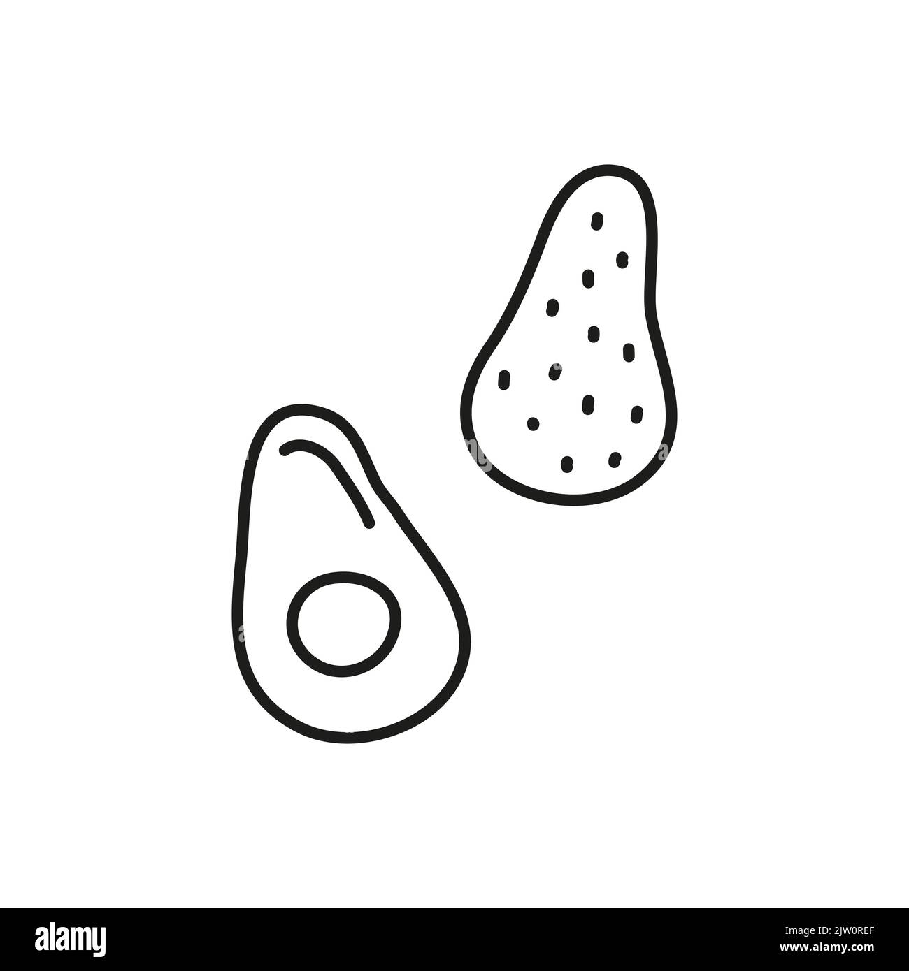 Doodle outline avocado icon isolated on white background Stock Vector ...