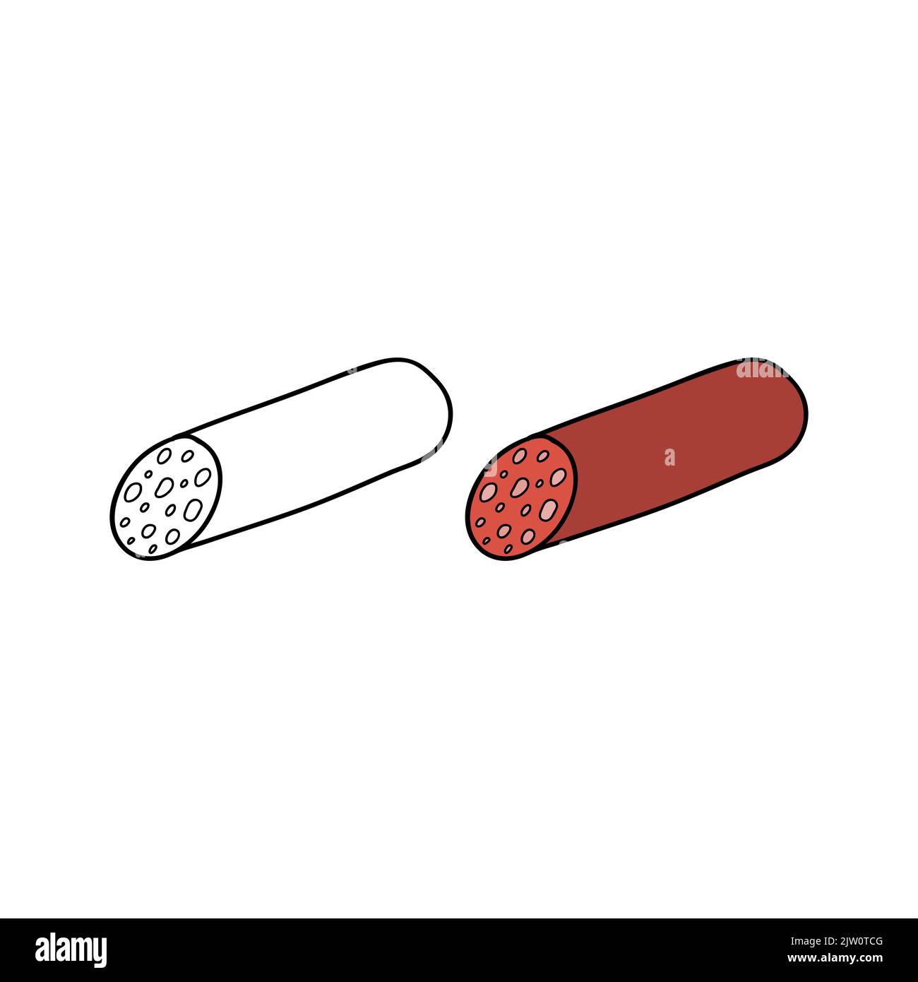 Doodle outline and colored smoked salami isolated on white background ...