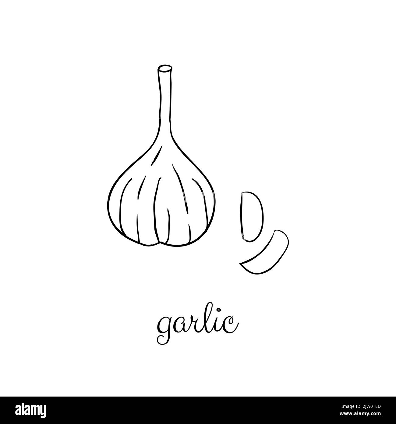 Black white cartoon illustration garlic Black and White Stock Photos ...