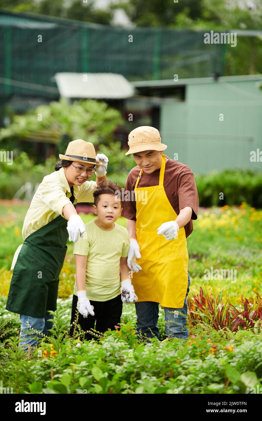 Flower nursery owners teaching son how to care about plants Stock Photo ...
