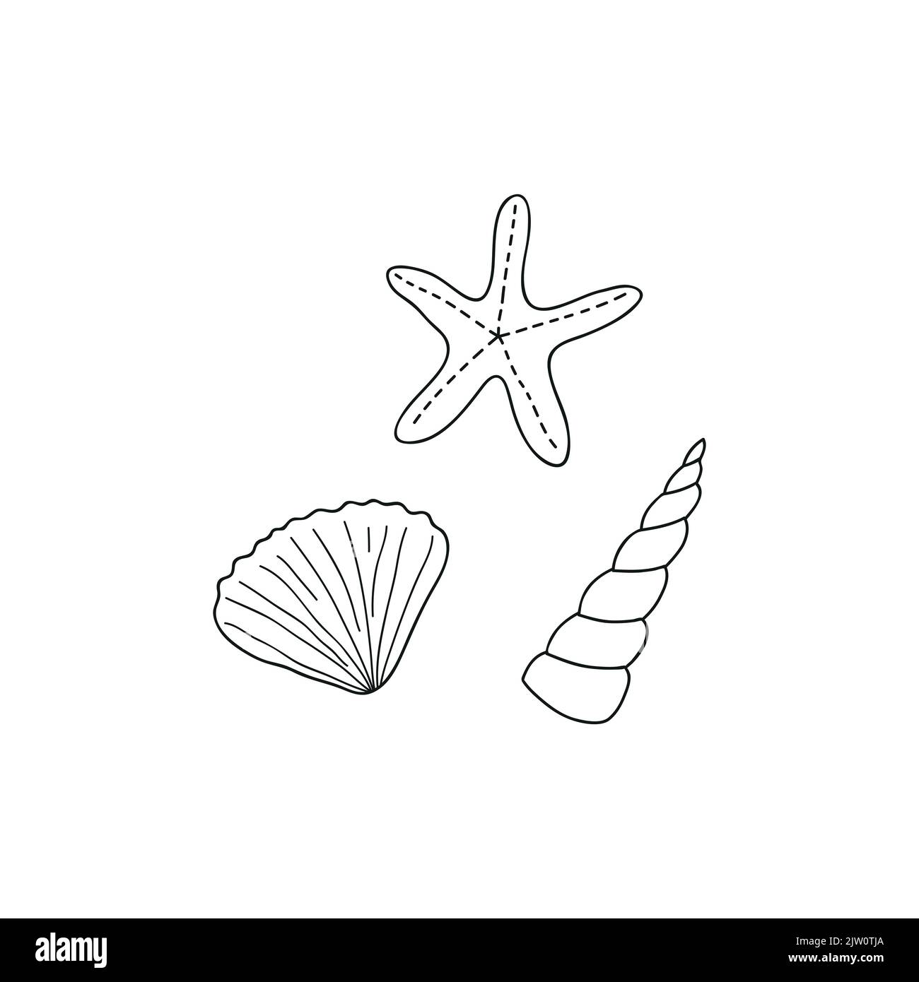 Doodle outline seashells isolated on white background Stock Vector ...