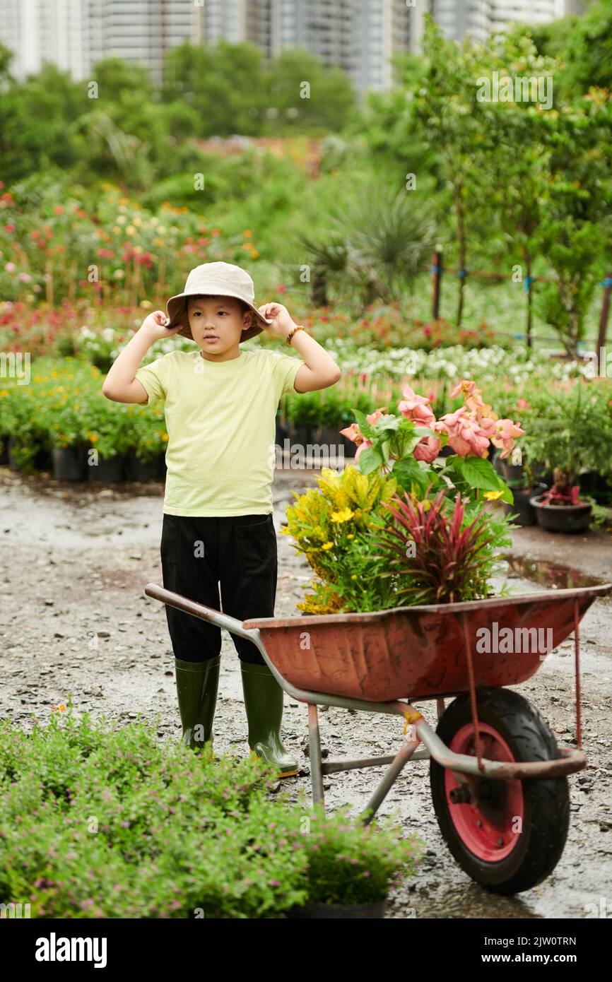 Little boy putting plants and flowers for customer in wheelbarrow Stock ...