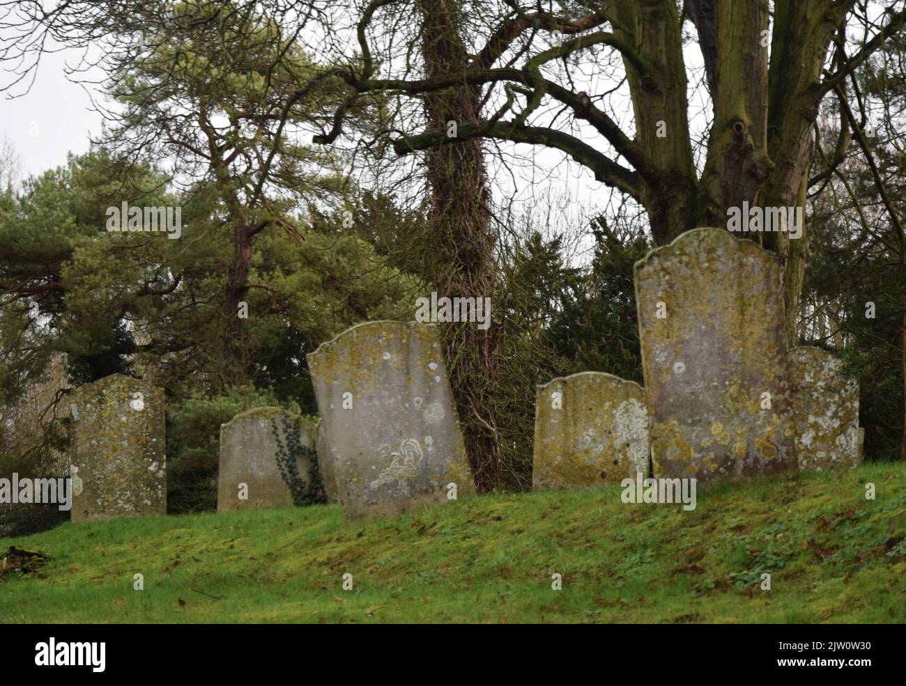 Gravestones in a row hi-res stock photography and images - Alamy