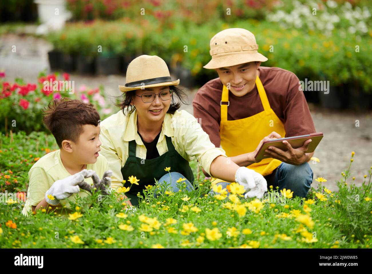 Motehr explaining preteen son how to check plants at their flower ...
