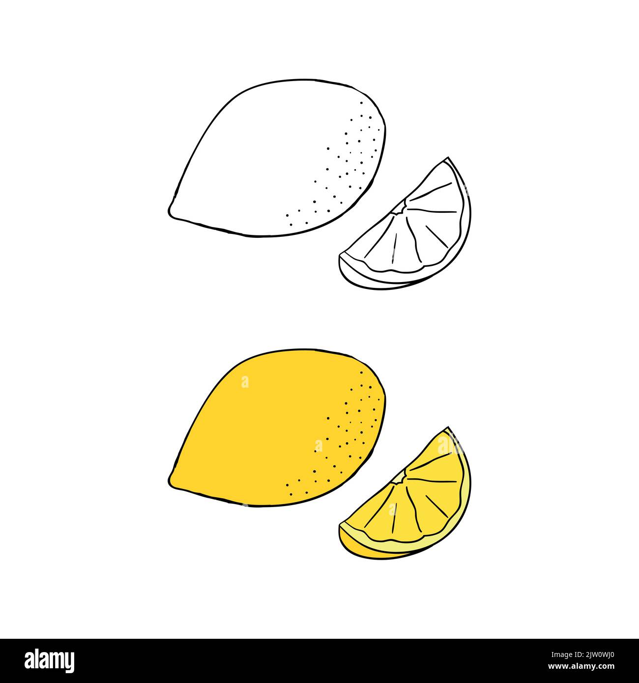 Hand drawn outline and colored lemon fruit isolated on white background ...