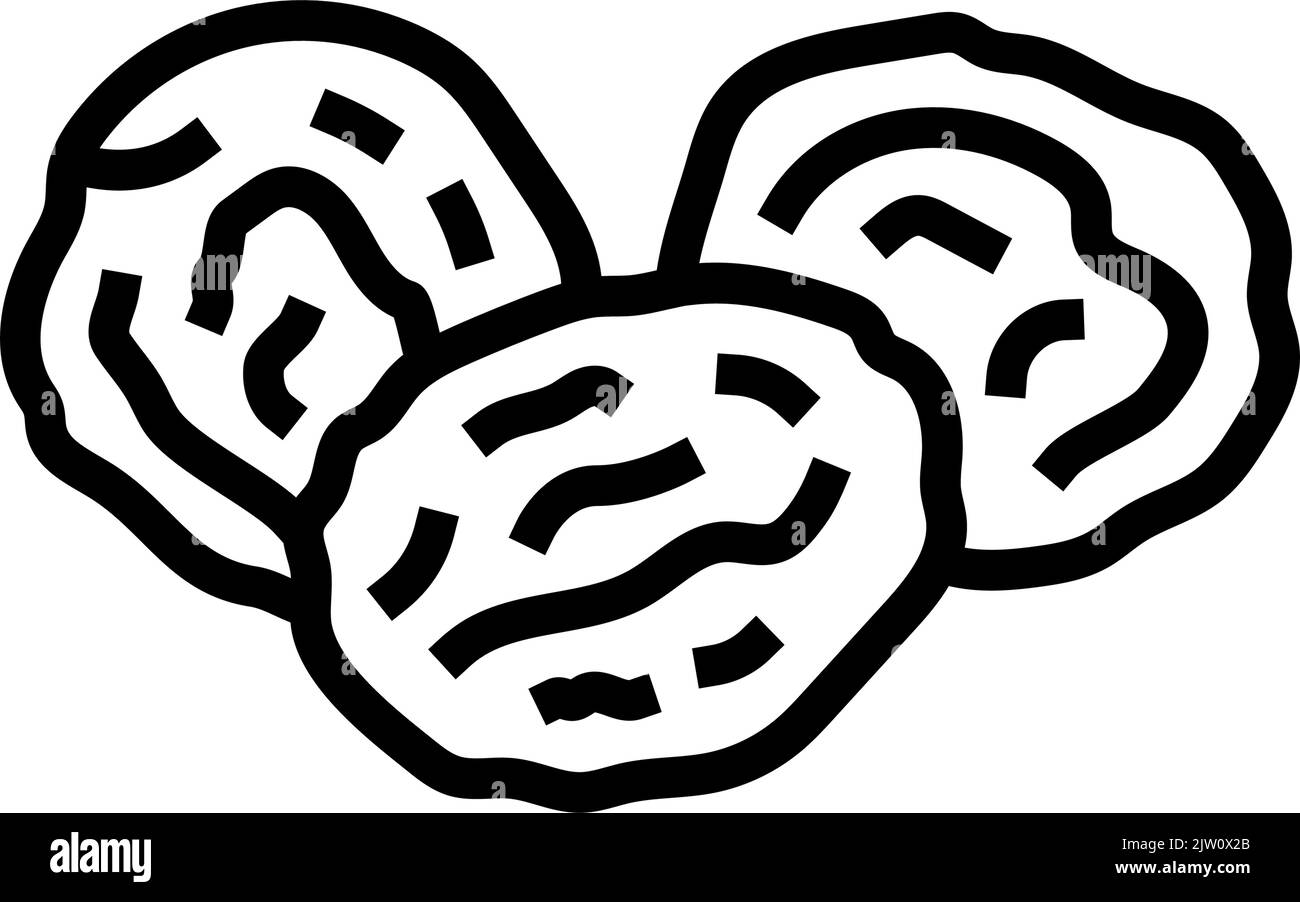 dried apricot fruit line icon vector illustration Stock Vector Image ...