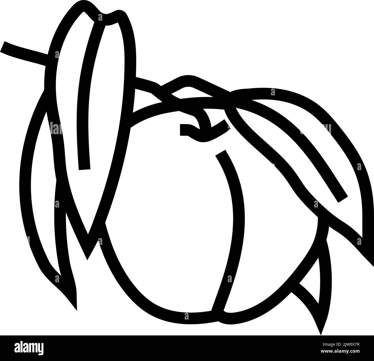 Green peach branch Black and White Stock Photos & Images - Alamy