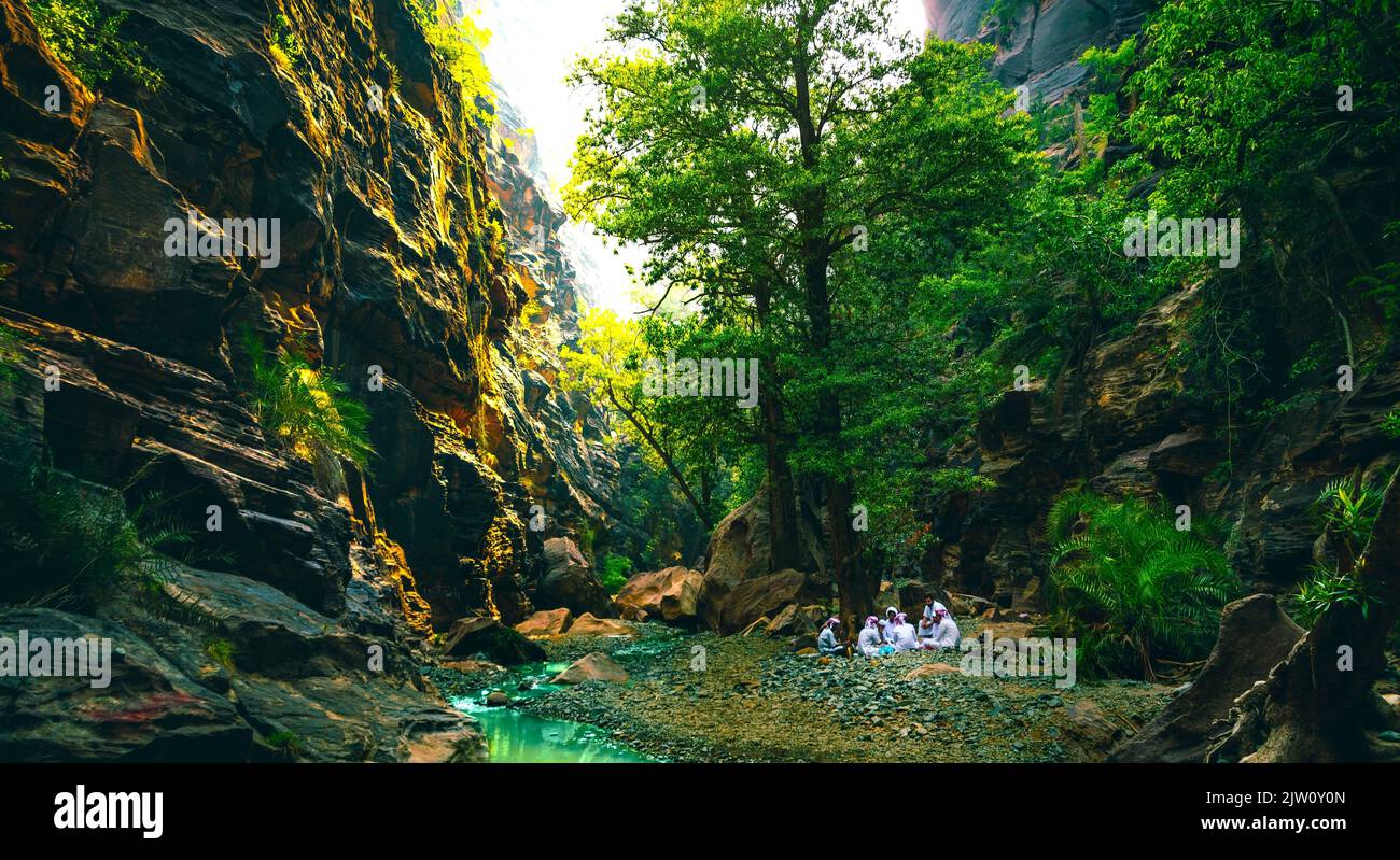 A narrow valley with trees and flowing river Stock Photo - Alamy