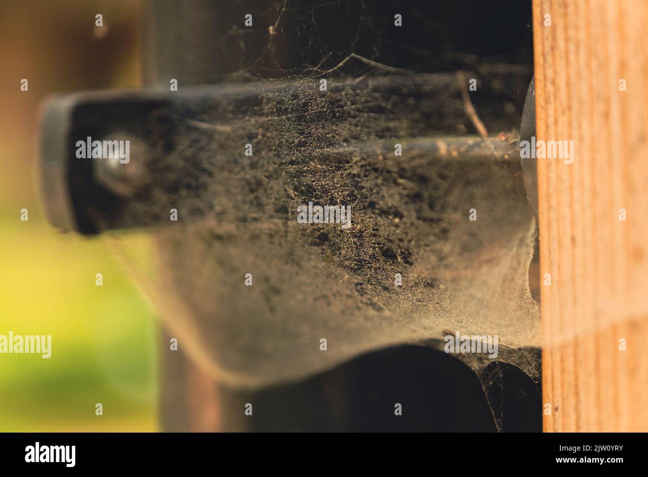Corner spider hi-res stock photography and images - Alamy
